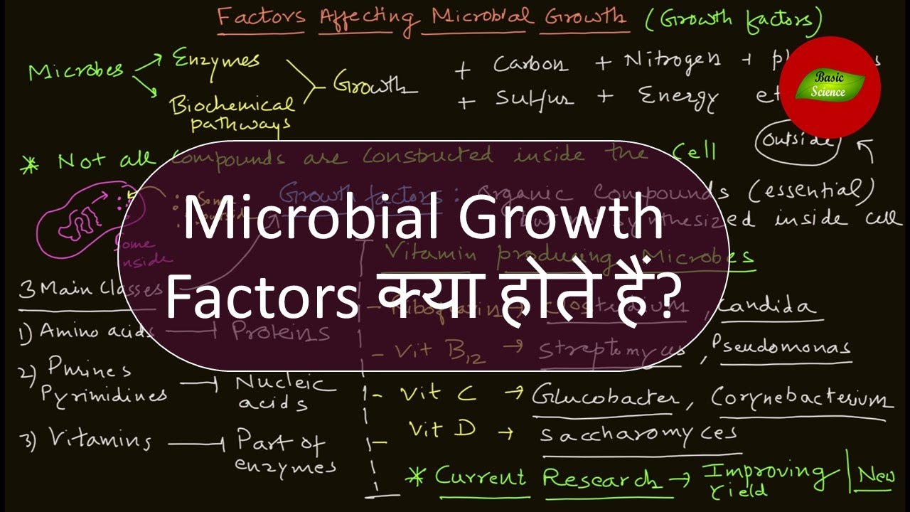 Microbial Growth Factors क्या होते हैं? | Microbial Nutrition ...