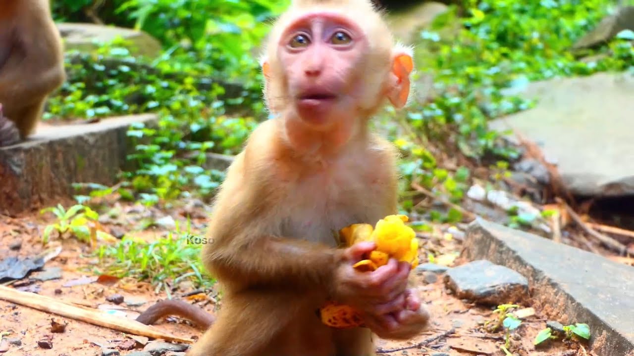 Angela is very hungry but Abby why hit sister jealous Rainbow lol with ...