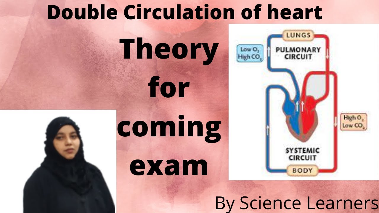 Double Circulation of Heart | Heart | D Pharma | Class-10 | Structure ...