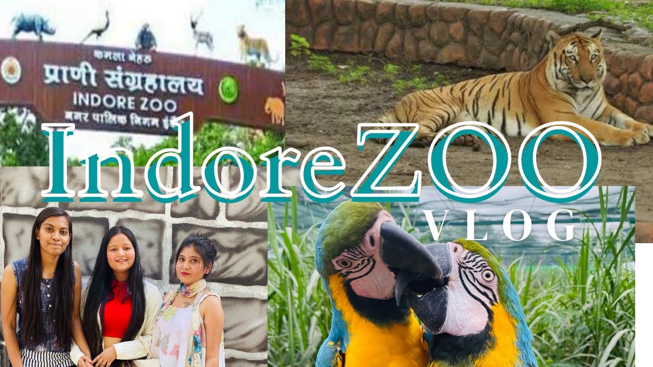 Indore Zoo | Zoo Indore | Chidiya Ghar Indore Zoo Tour | Indore Ka Zoo ...