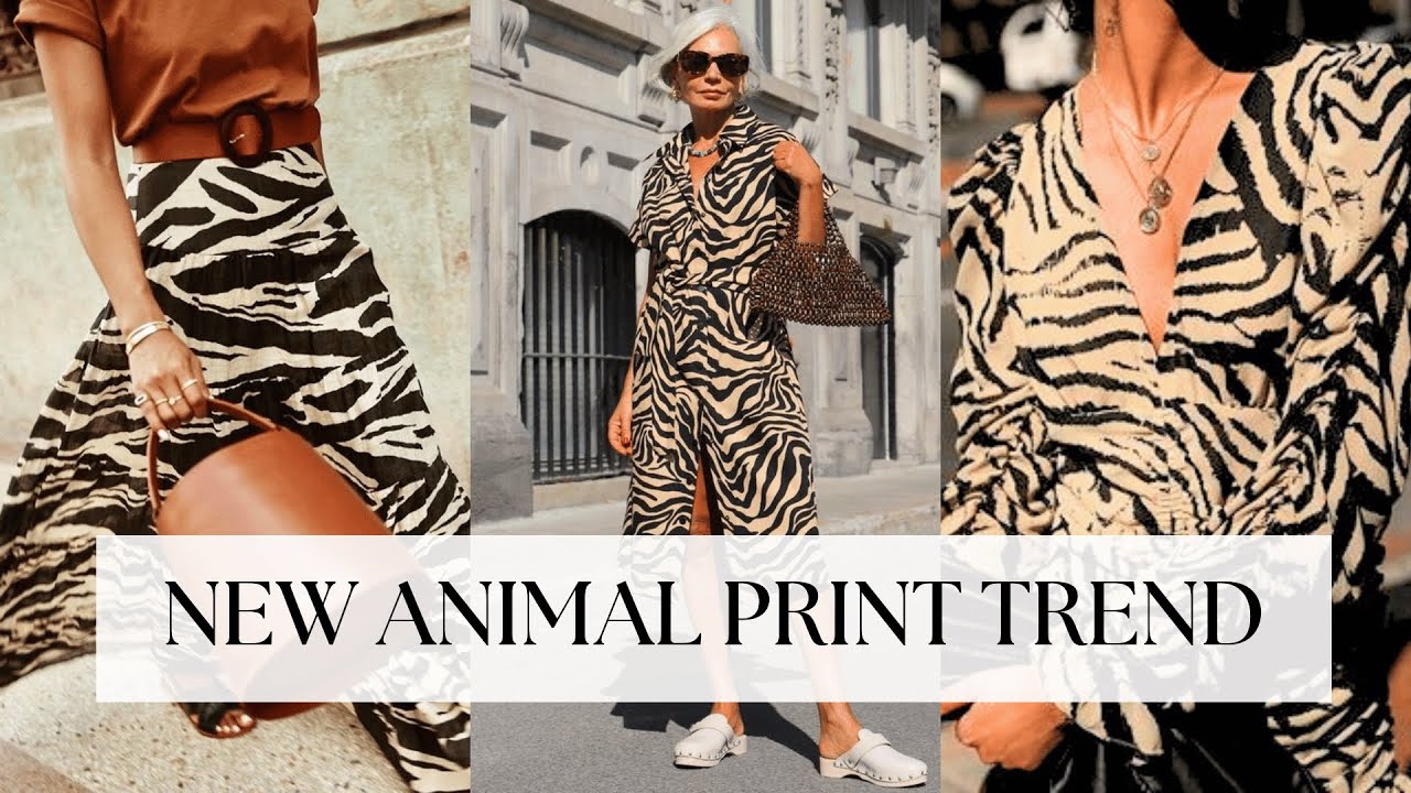 Zebra Print Is the New Animal Print Trend — STYLISH Looks for Women ...