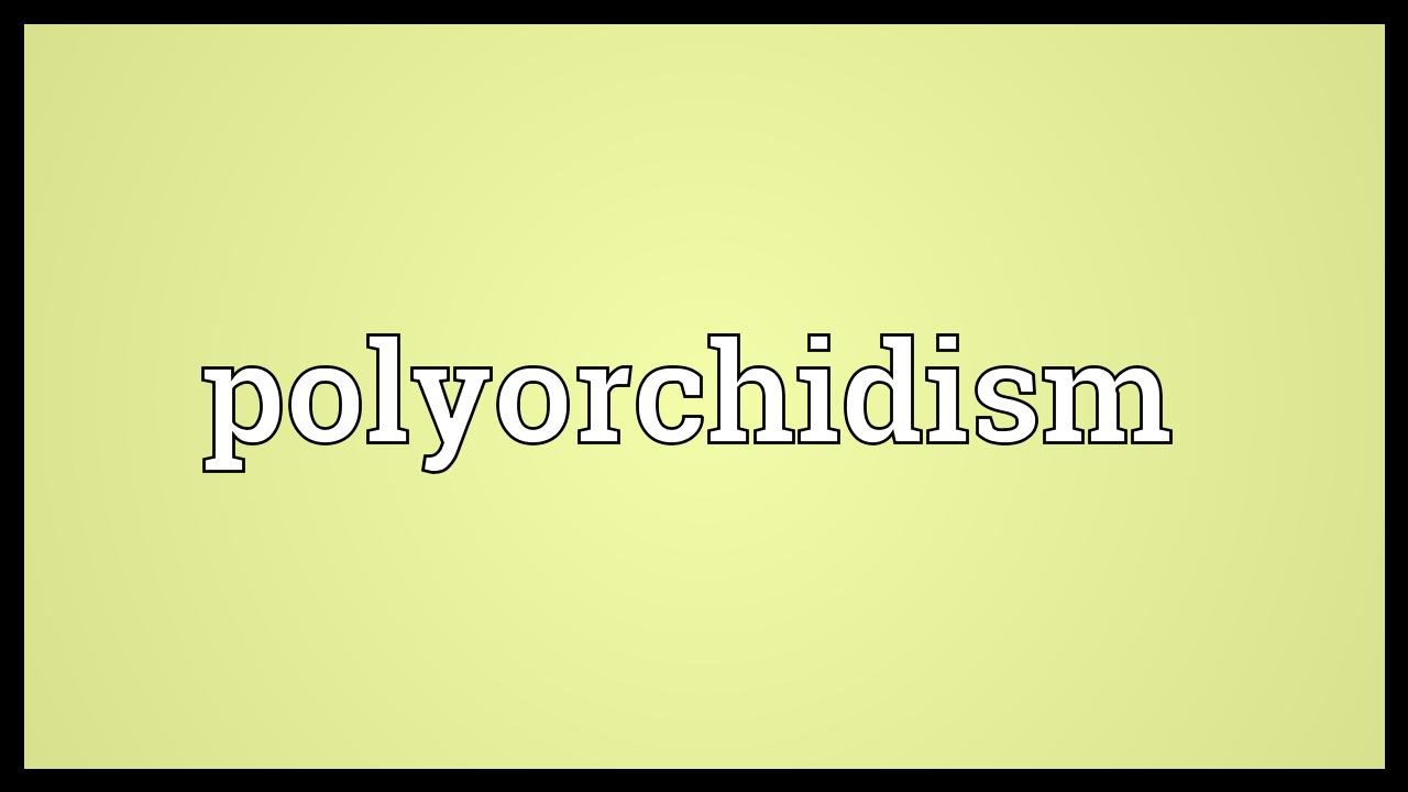 Polyorchidism Meaning - YouTube