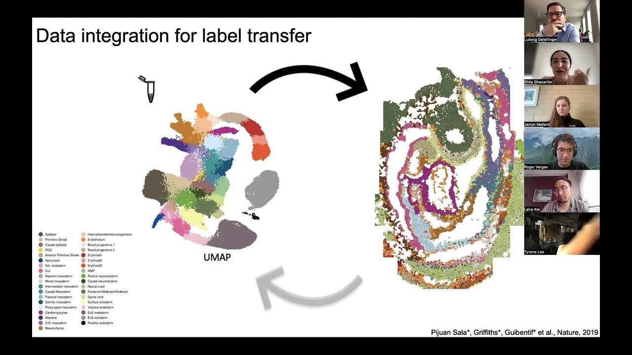 StabMap: Mosaic single cell data integration using non-overlapping features - YouTube