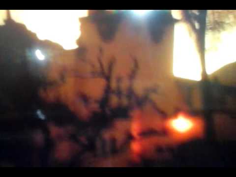 tehlikeli tür Uyanış 2007 dvd rip