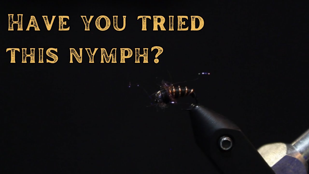 Need a Nymph? Try This One (Simple Nymph Pattern) - YouTube