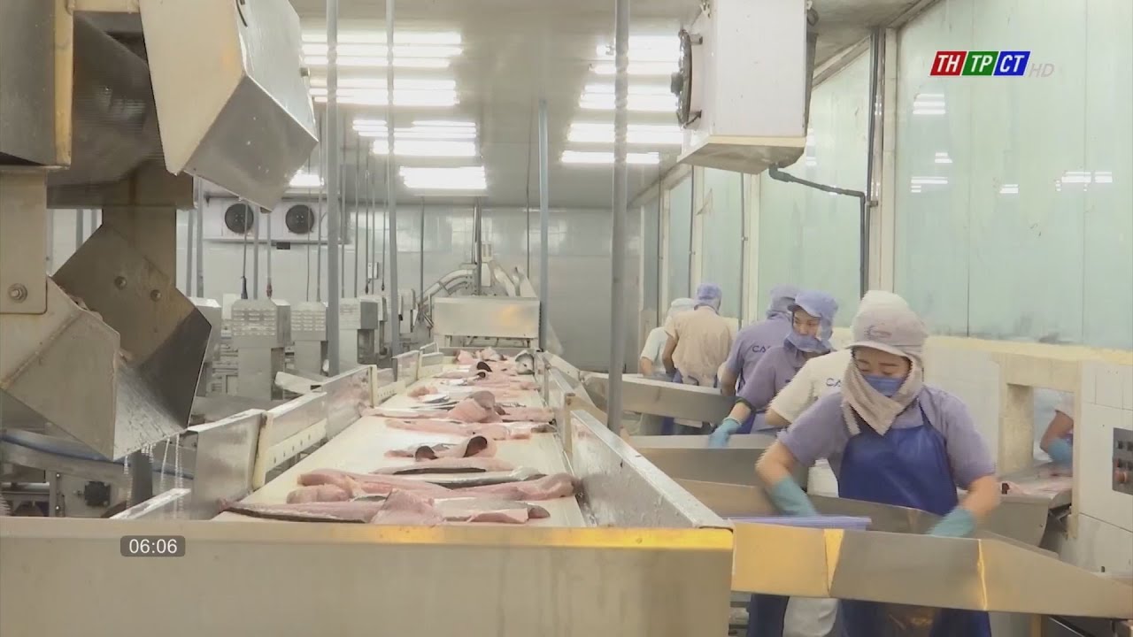 British market – The optimistic export destination of Vietnamese tra ...