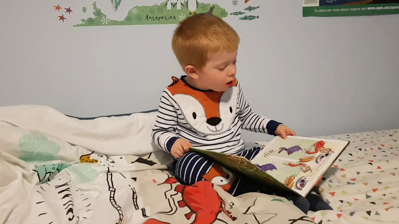 T reads Traction Man meets Turbodog by Mini Grey! - YouTube