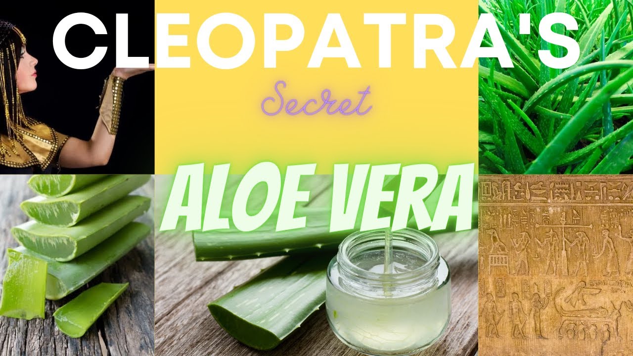 Egyptian sacred plant | Aloe Vera benefits and interesting facts - YouTube