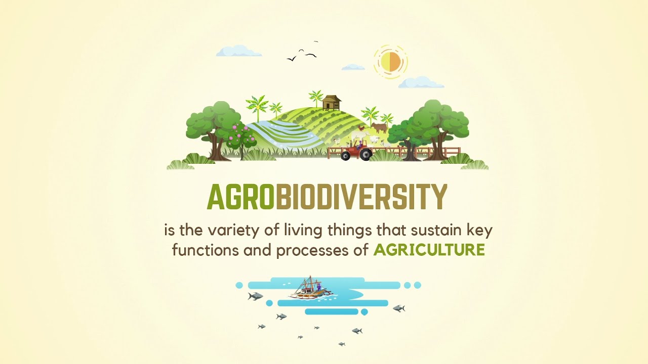 Agrobiodiversity (Part 1) - Components & Systems - YouTube