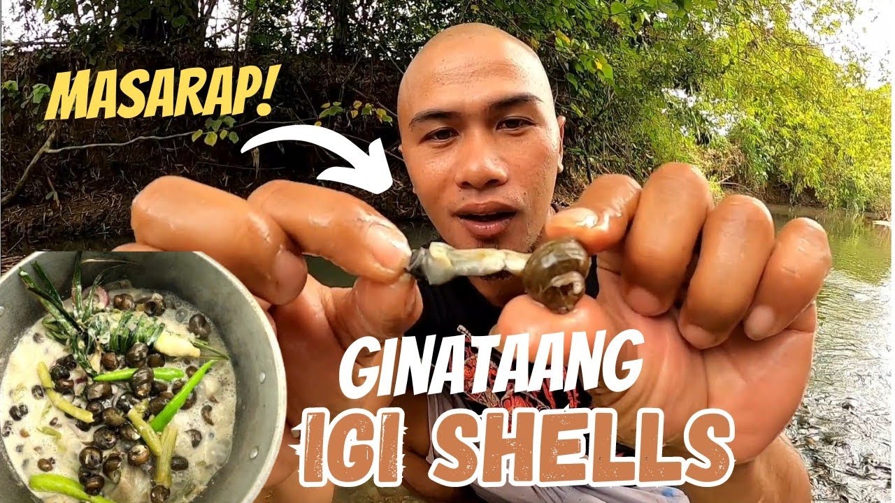 Pambihirang Shell sa Tubig Tabang Napakasarap at NapakaTaba | Ginataan ...