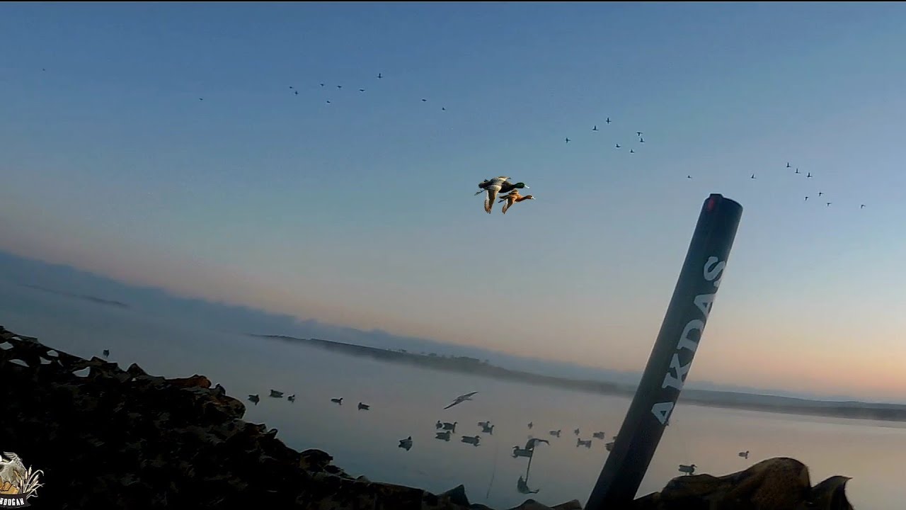Sabah Beki Ördek Avı 2022 / Göç Ördeği BÖLÜM 2 / Duck Hunting / охота ...