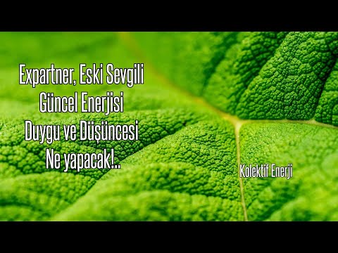 💛 Expartner, Eski Sevgili Güncel Enerjisi Duygu ve Düşüncesi neler☝️ Ne yapacak 🕊 #tarot #expartner