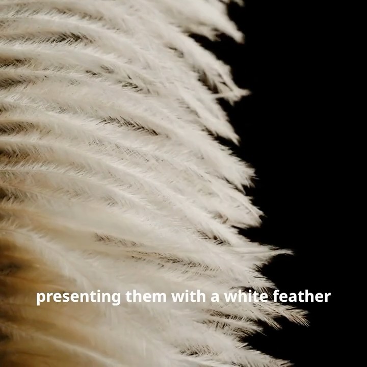 White Feather Campaign - YouTube