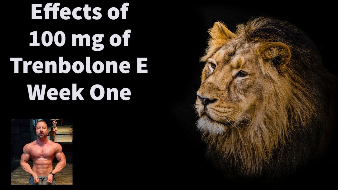 Effects of 100mg of Trenbolone E At Week One - YouTube