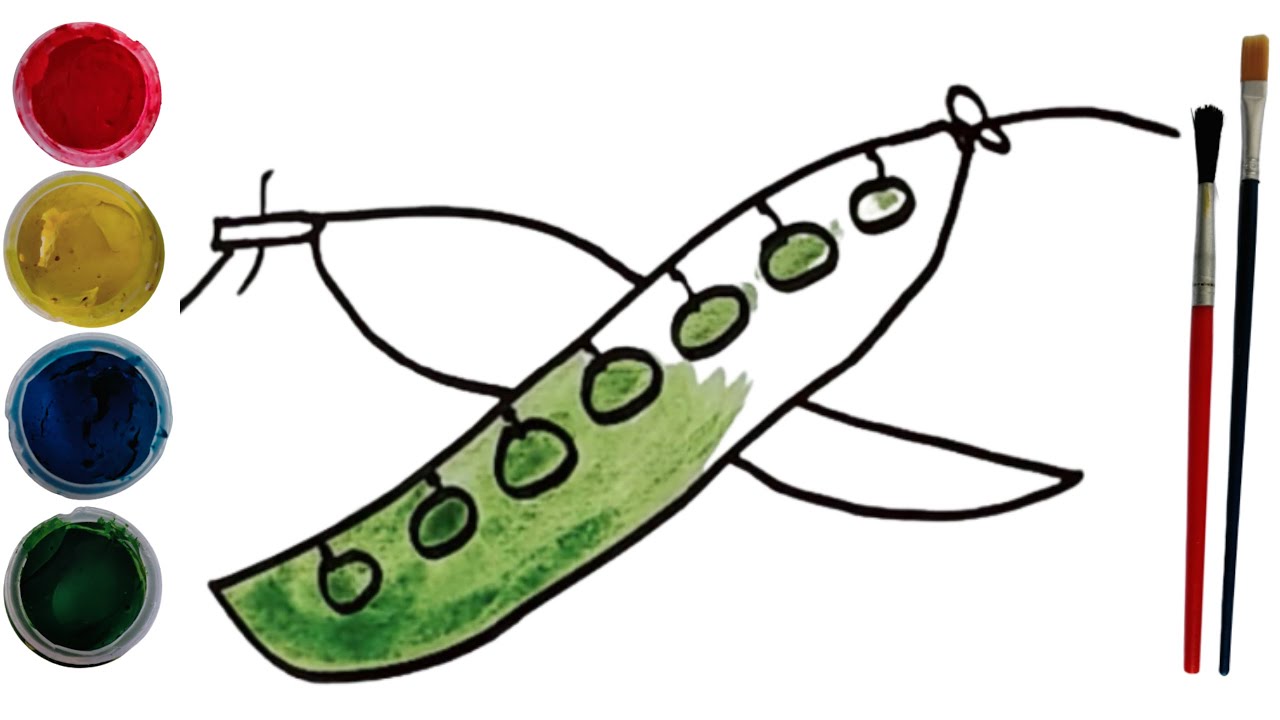 How to draw Pea || a Pea || the Pea || Draw Pea || Vegetable - YouTube