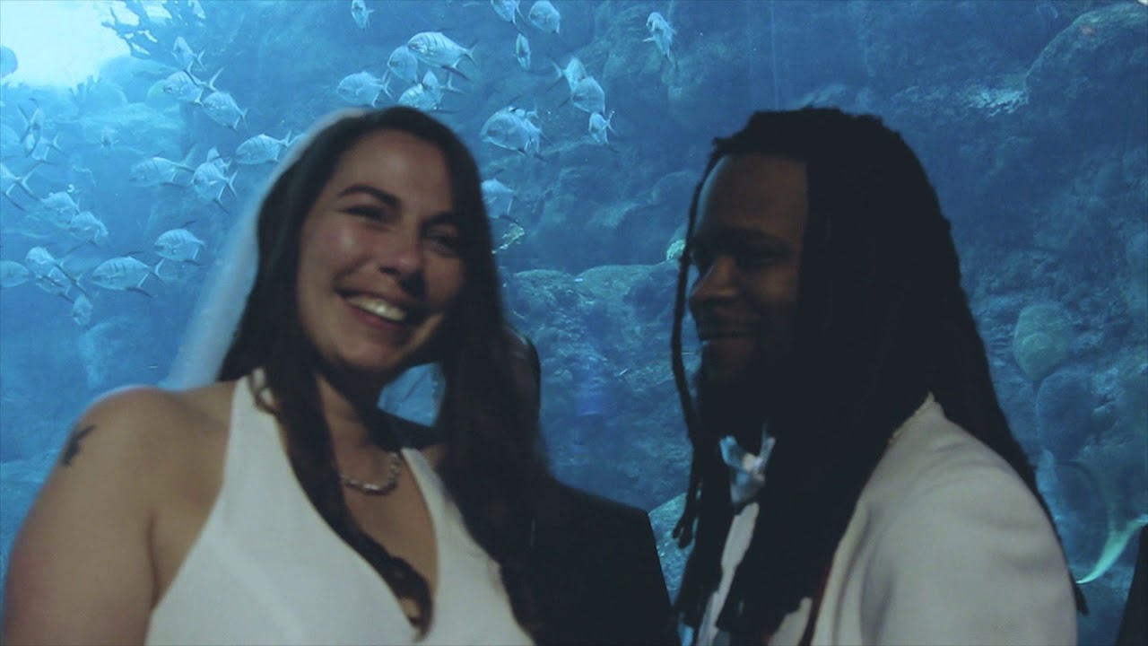 Steven and Vanessa Johnson [Wedding] - YouTube