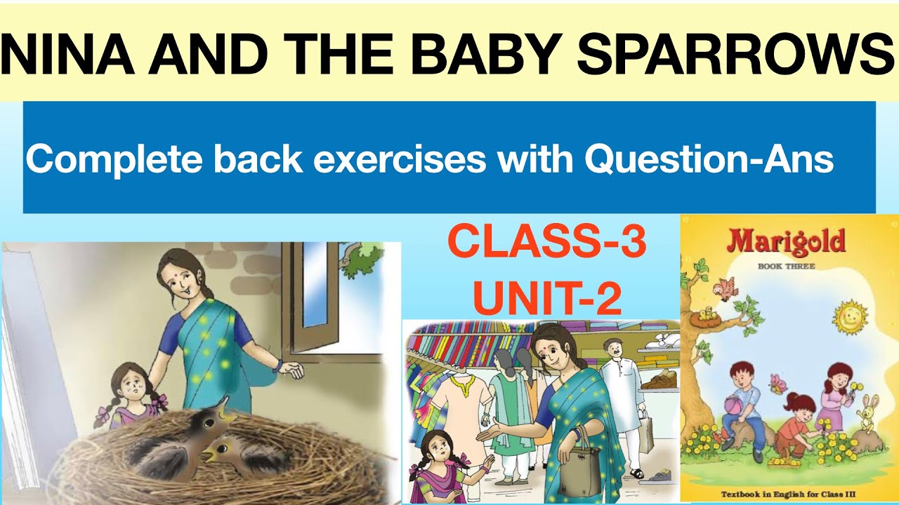 Nina And The Baby Sparrows Story Class 3 English Question Answer nina-and-the-baby-sparrows-story-class-3-english-question-answer