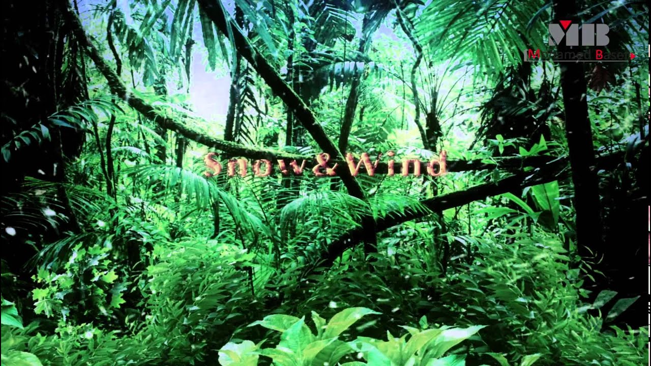 3D Composting Using After Effects & Photoshop (The Majical jungle ...