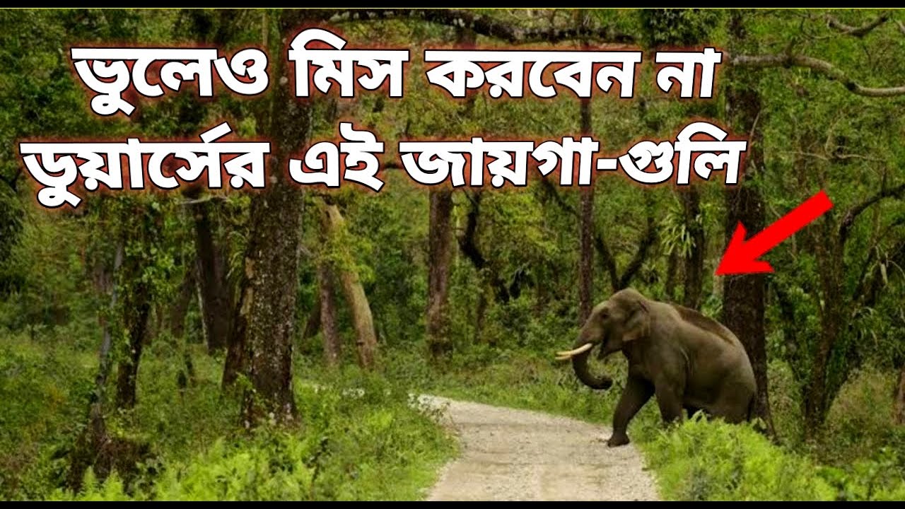 Best Places to visit in Dooars 2023 | Dooars budget tour plan in ...