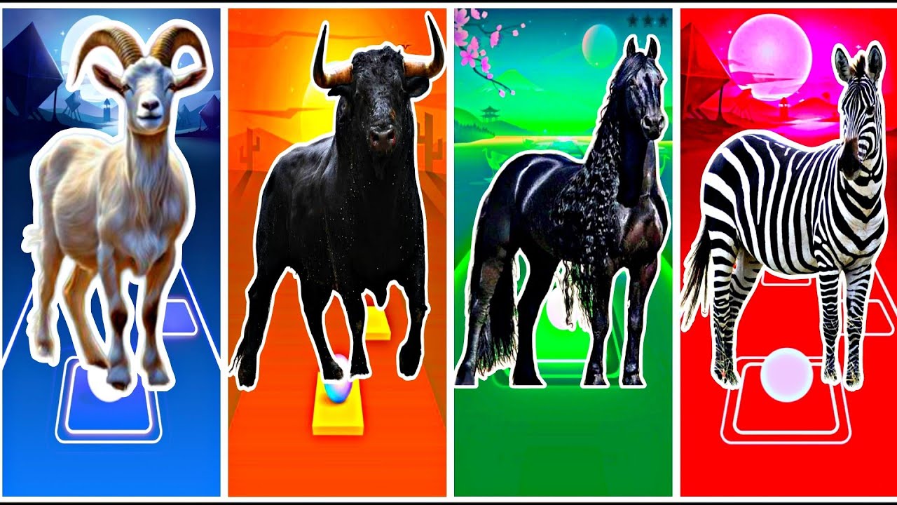 Funny Goat 🆚 Funny Bull 🆚 Funny Horses 🆚 Funny Zebra 🆚 Who Will Win ...