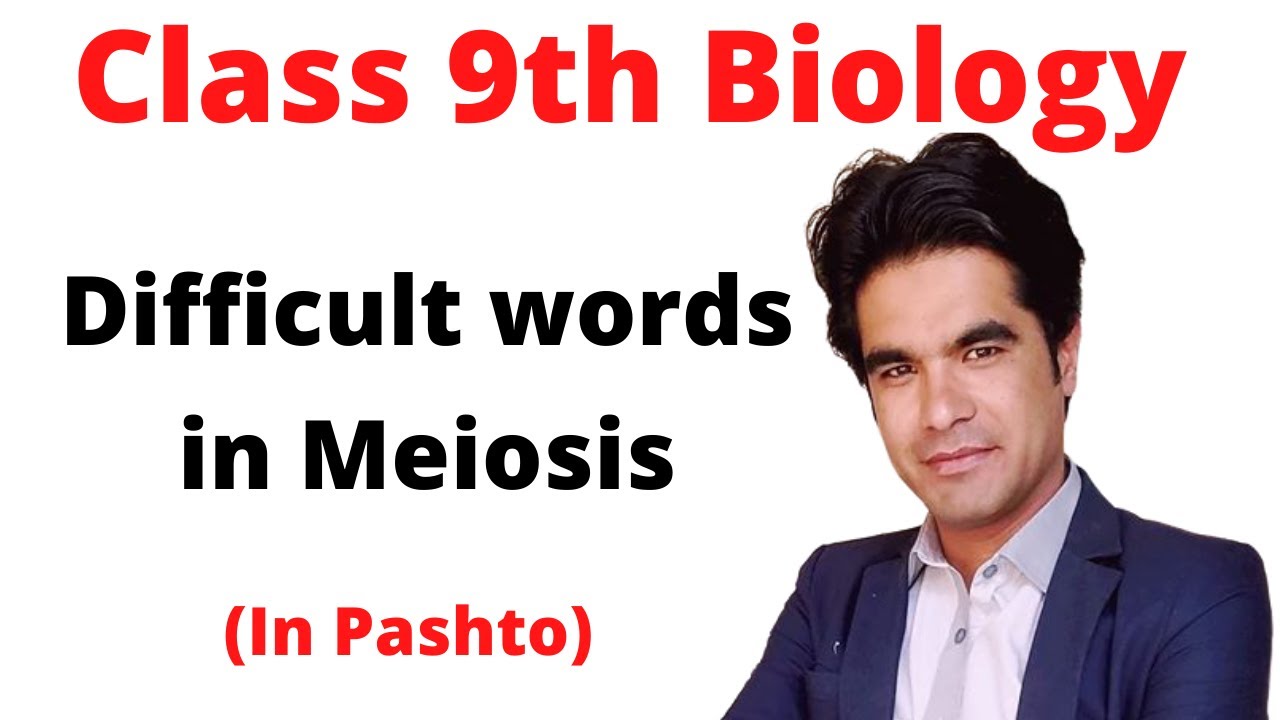 Difficult Words In Meiosis Home Of Biology YouTube Difficult Words In Meiosis Home Of Biology YouTube