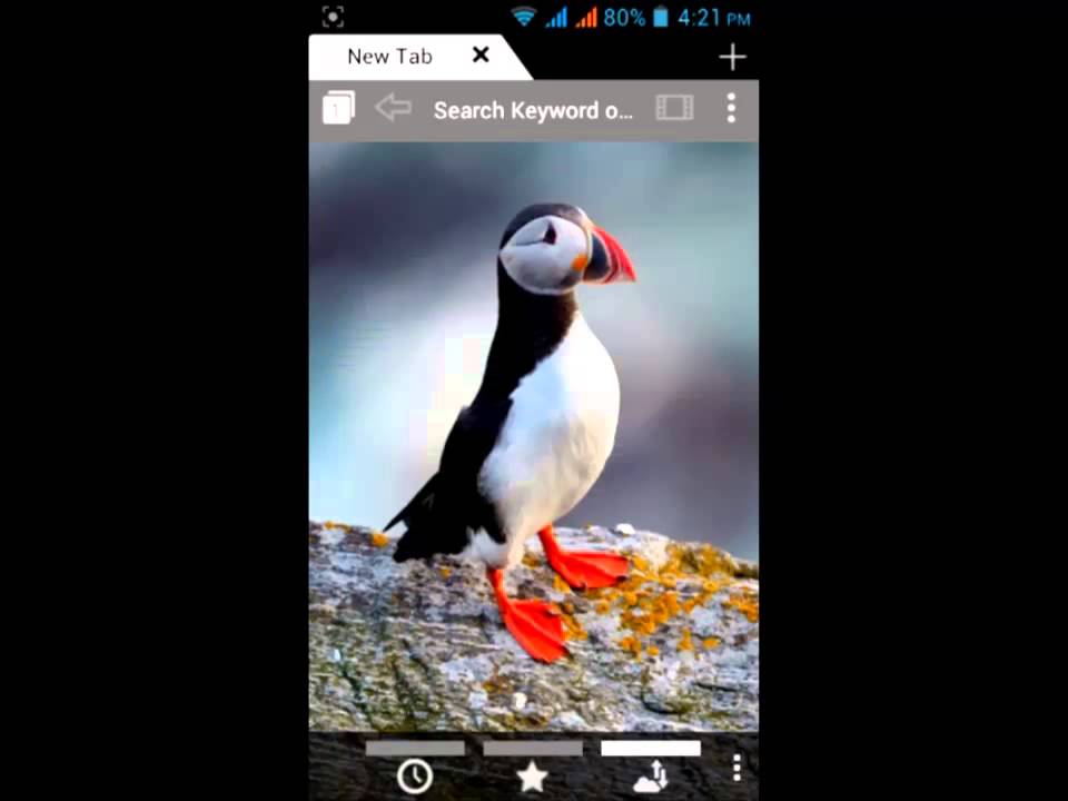 Watch and download android smart mobile phone puffin browser 2013 HD ...
