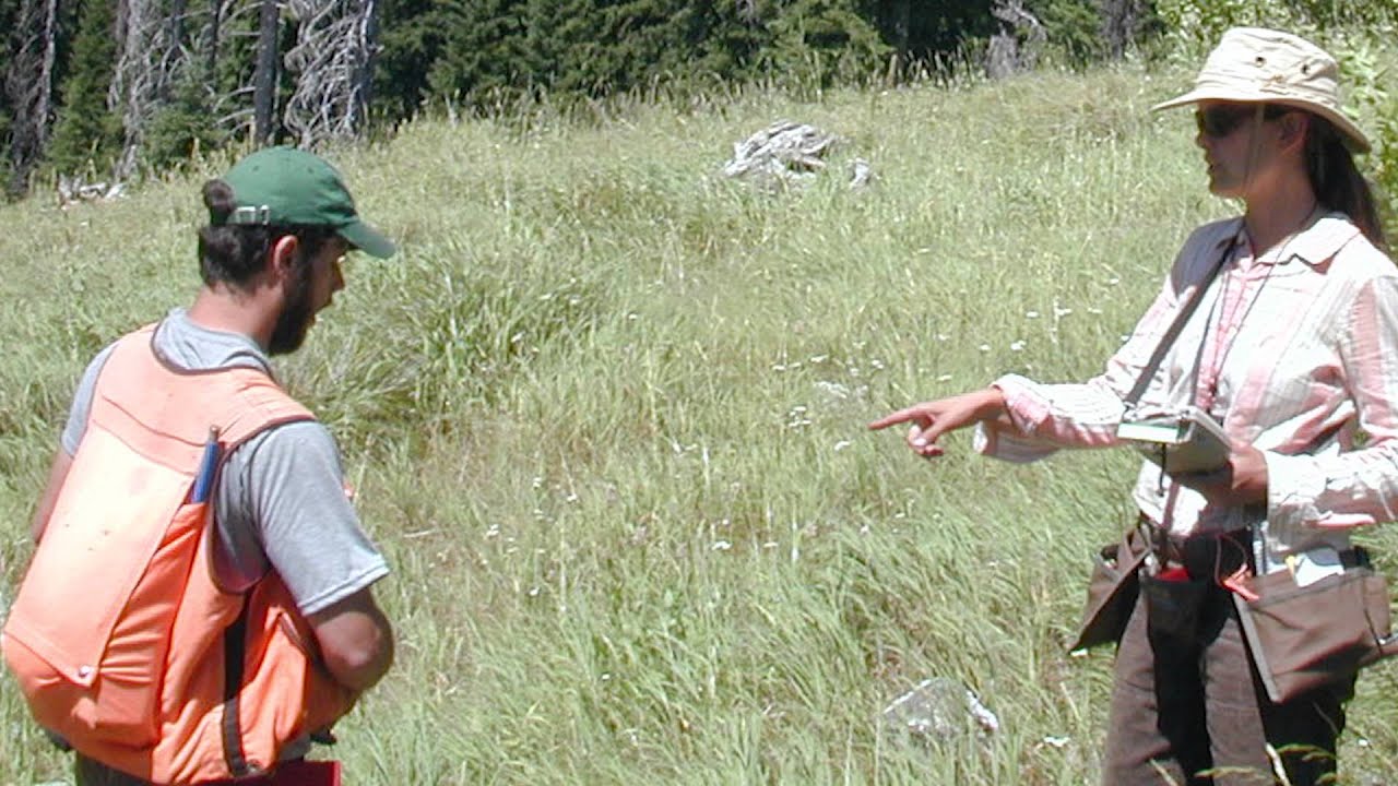 Meet Biological Scientist Sara Goeking - YouTube