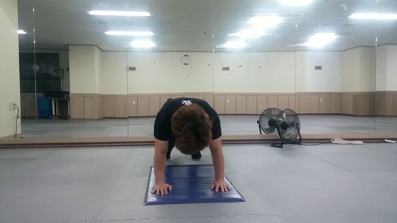 스파이더플랭크-코어운동(Spider Plank - Core Exercise) - YouTube