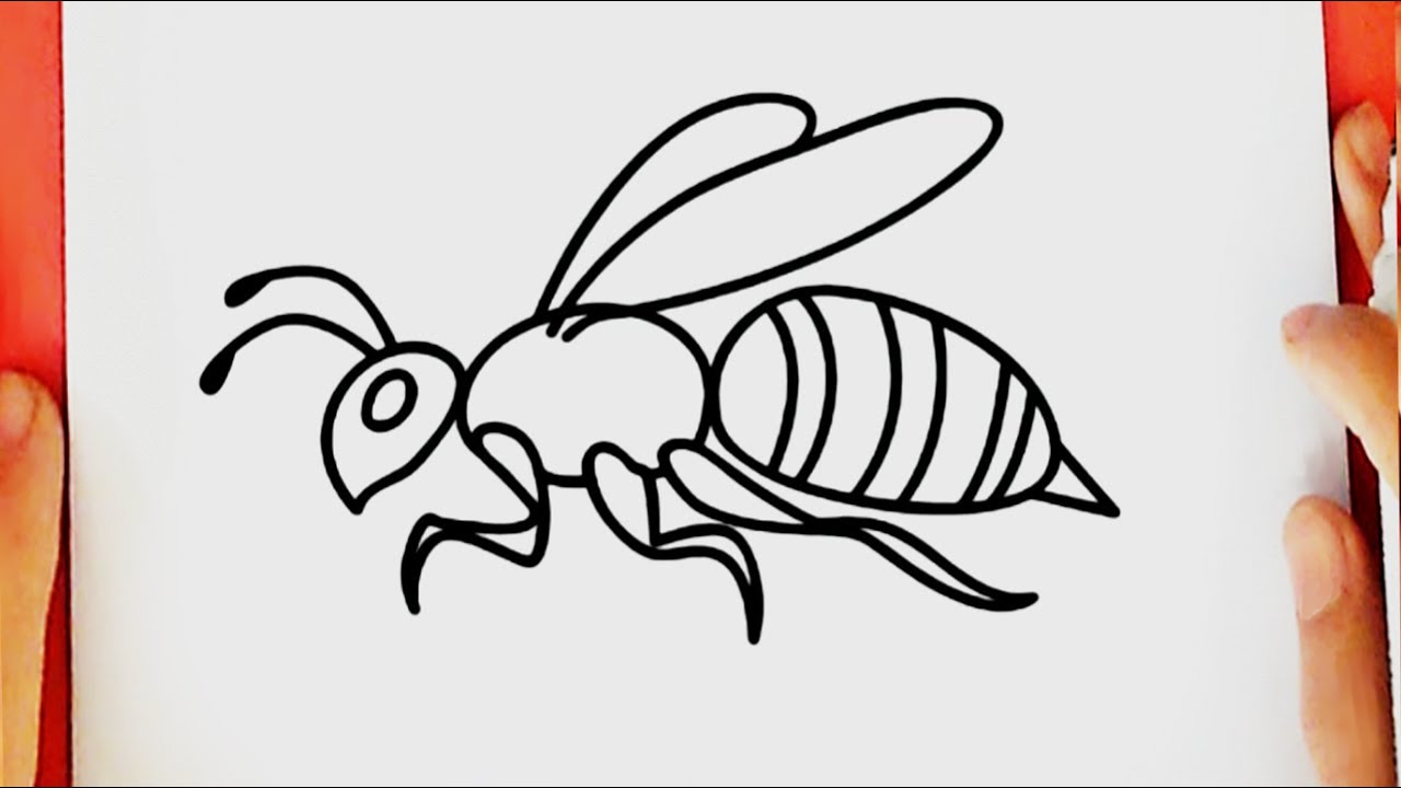 Cómo dibujar abeja - paso a paso ️ ( fácil 😊 ) - YouTube