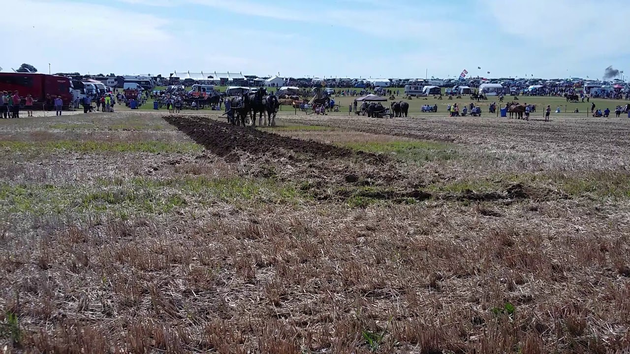 Great Dorset Stream Fair 2019 - YouTube
