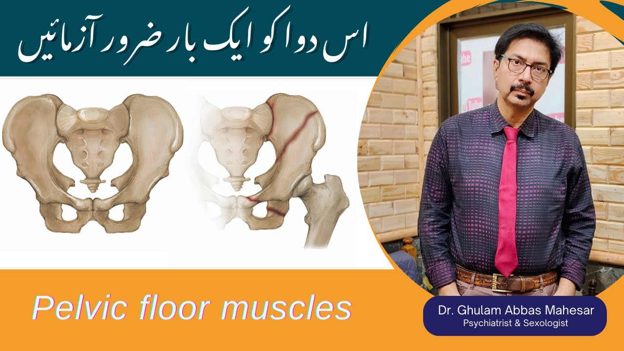 Pelvic Floor Muscles In Urdu Pelvic Floor Muscles Of The Pelvic Pelvic Floor Muscles In Urdu Pelvic Floor Muscles Of The Pelvic