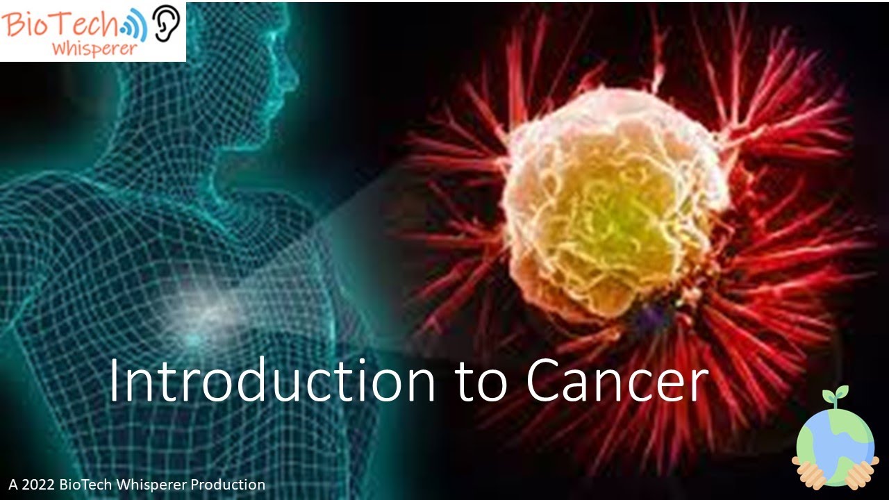 Cancer Explained in 8 Minutes - YouTube