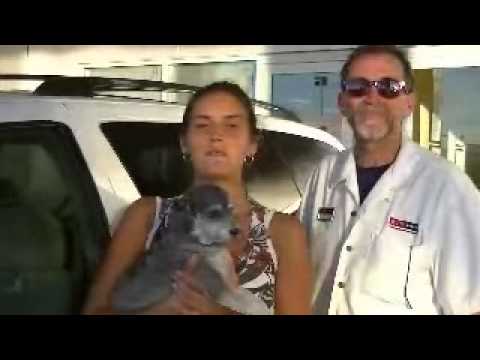 DANIELA DEMETRIO IS.... / DCH TOYOTA OF OXNARD - YouTube