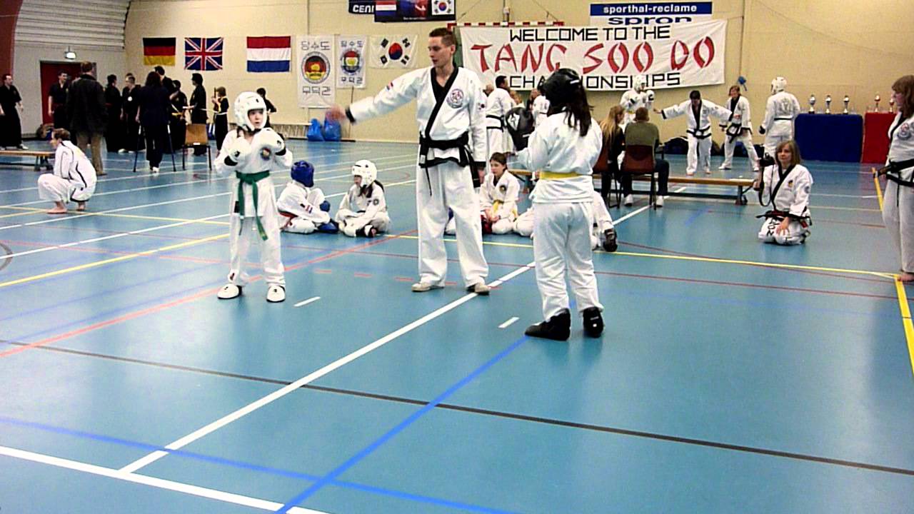 Tang Soo Do & Haedong Kumdo Games 2012 Groningen Sparring Danine van ...
