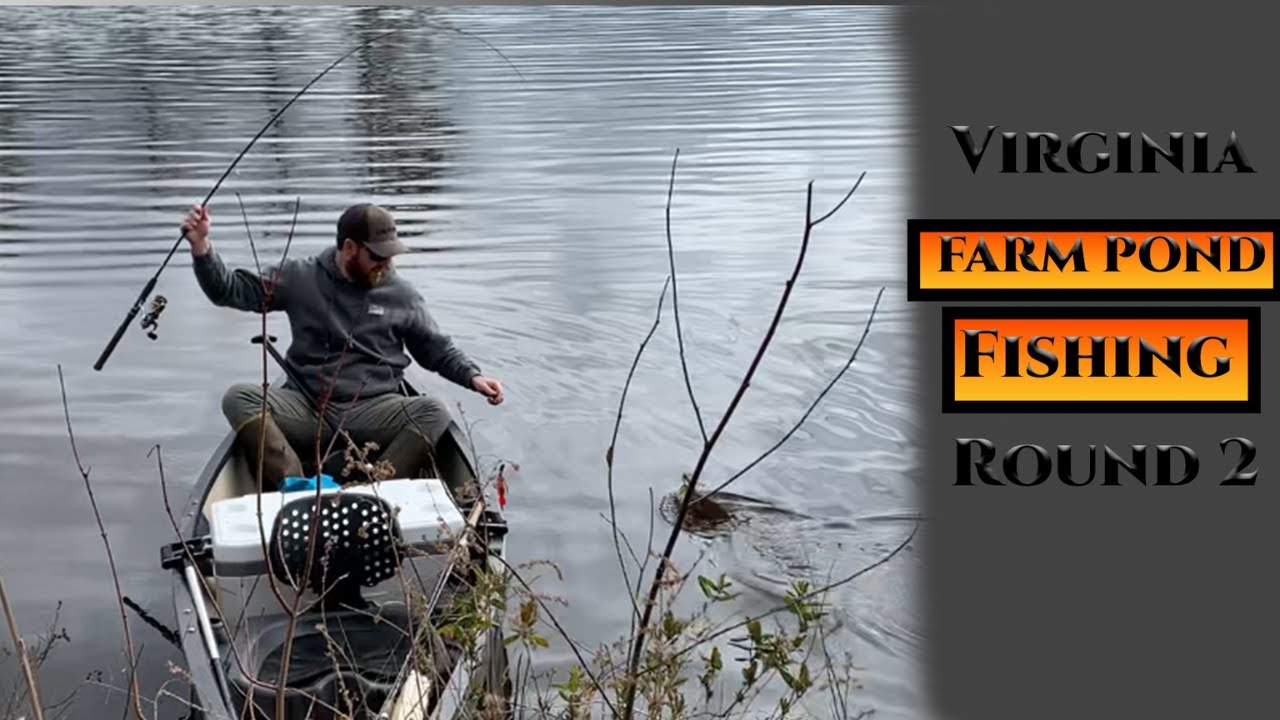 VA Farm Pond Fishing - YouTube