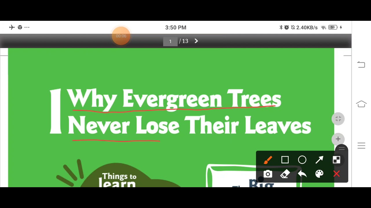 Why Evergreen Trees Never Lose Their Leaves Grade 4 English Oxford why-evergreen-trees-never-lose-their-leaves-grade-4-english-oxford