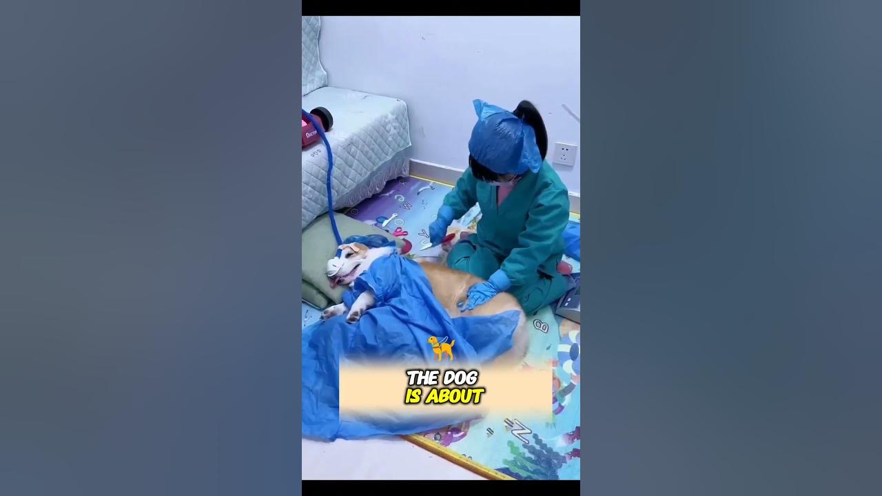 lv 0 20250408101309 - YouTube