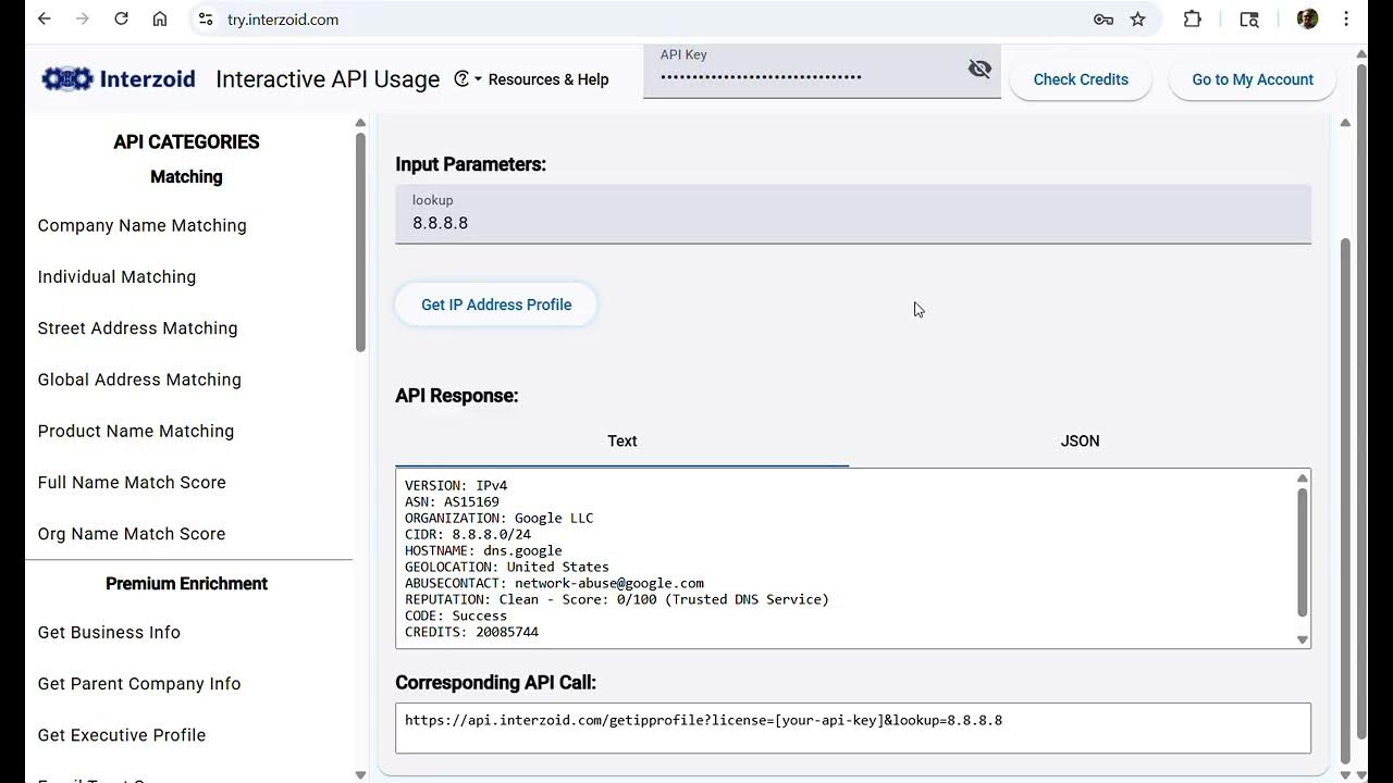 Interzoid Get IP Profile API Demo — AI-Powered IP Intelligence ...