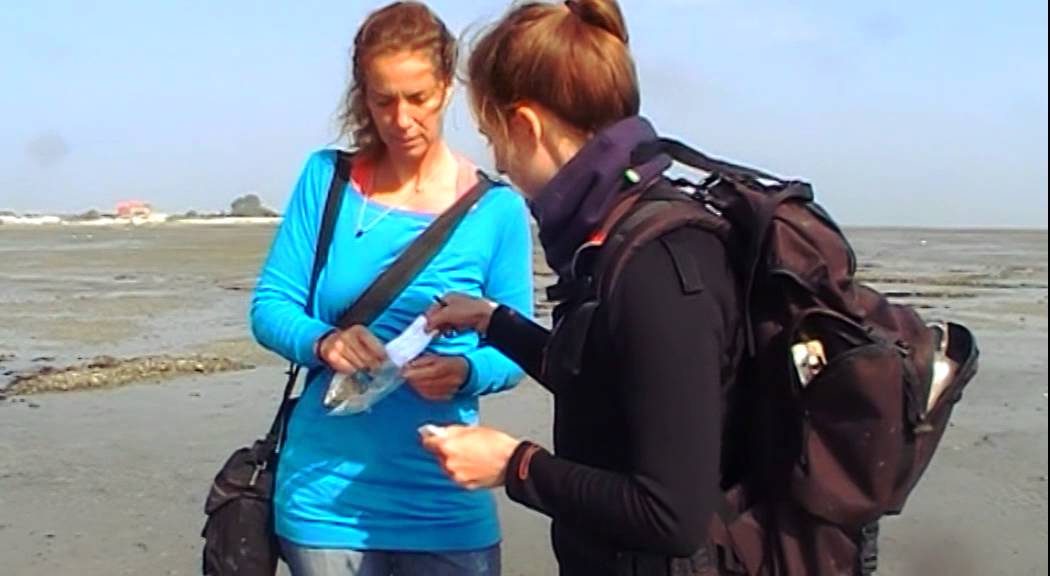 WattWiki - Julia Goldhammer und Dr. Martina Karle - YouTube