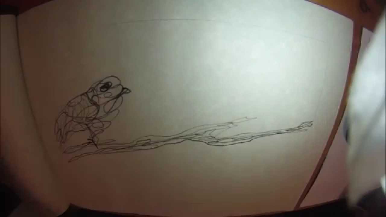 Bird on Branch - Dip pen ink drawing time lapse - YouTube