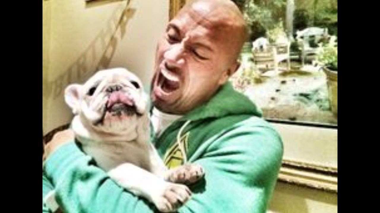 dwayne johnson his dog - the rock his bull dog - YouTube