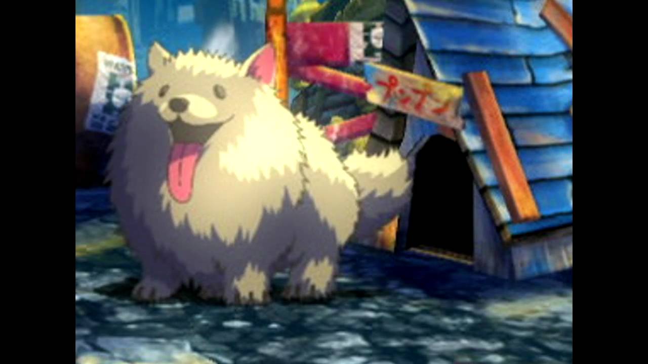 Hype Dog Says #5 - YouTube