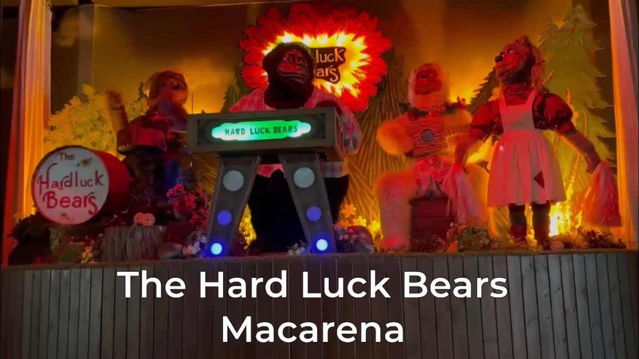 The Hard Luck Bears Perform Macarena at Gullivers World Warrington ...