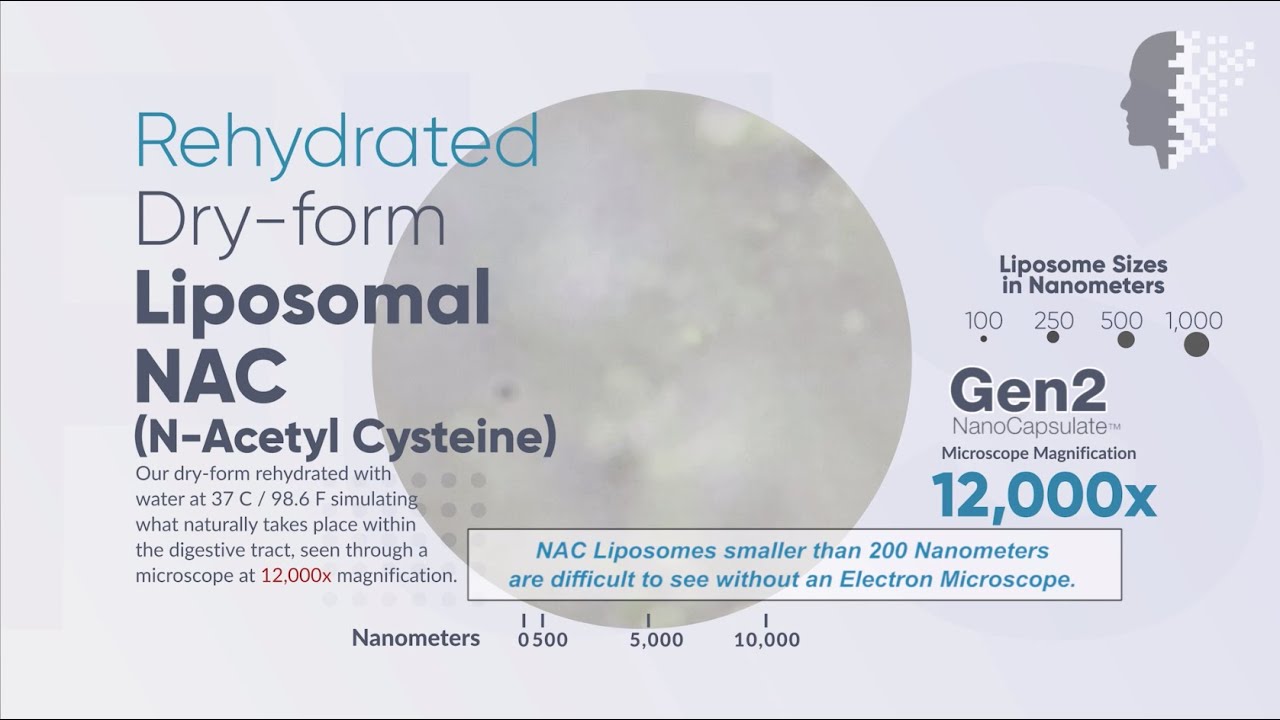 Infusion Liposomal NAC (L-NAC) (Gen2) Liposome Nanosphere Microscopy ...