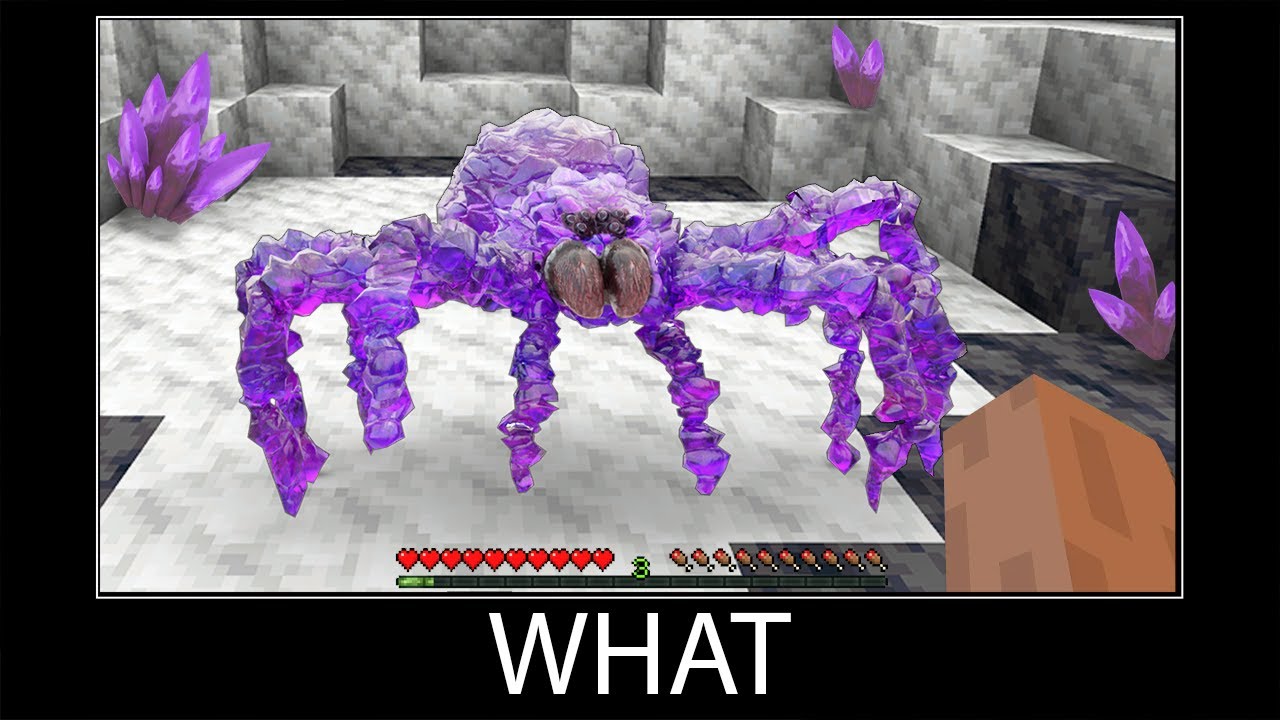 Minecraft Spider Meme