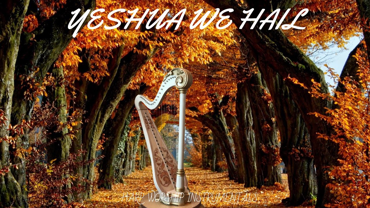 YESHUA WE HAIL / PROPHETIC HARP WARFARE INSTRUMENTAL/ DAVID HARP/ 432Hz ...