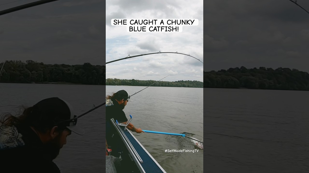 She CAUGHT a CHUNKY Blue Catfish on the Ohio River! - YouTube