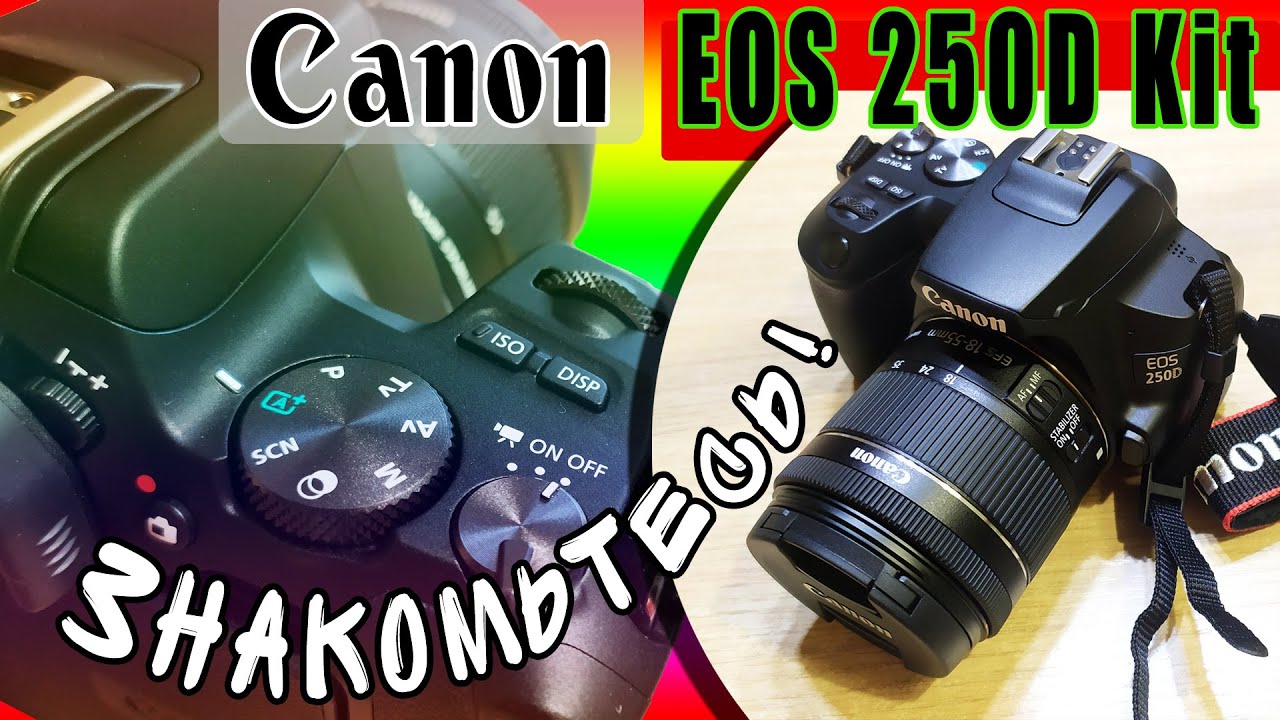 Обзор Canon EOS 250D ОТЛИЧНАЯ ЛЮБИТЕЛЬСКАЯ ЗЕРКАЛКА начального уровня ...
