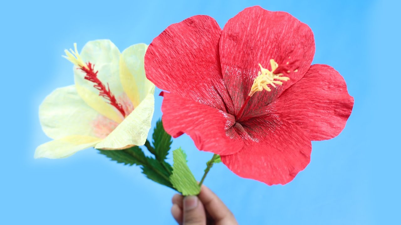 Origami Hibiscus Flower How To Make DIY Hibiscus Flower From Crepe origami-hibiscus-flower-how-to-make-diy-hibiscus-flower-from-crepe