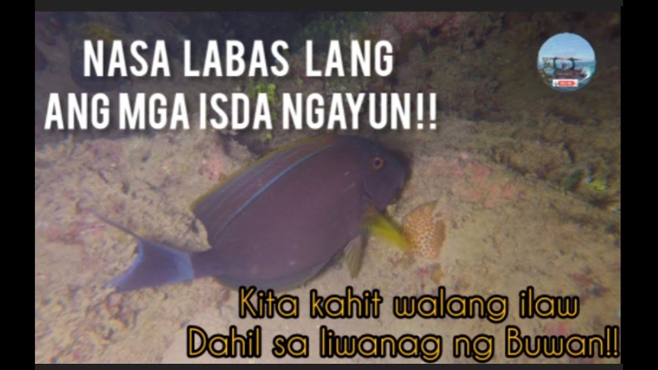 Episode 13 MALIWANAG ANG BUWAN | @SPEARFISHINGADIventure07 nasa labas ...